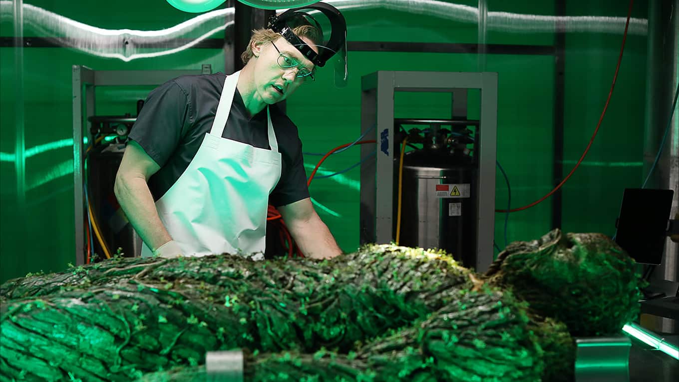 Swamp Thing • Horror Serie in OV auf Abruf | Sky